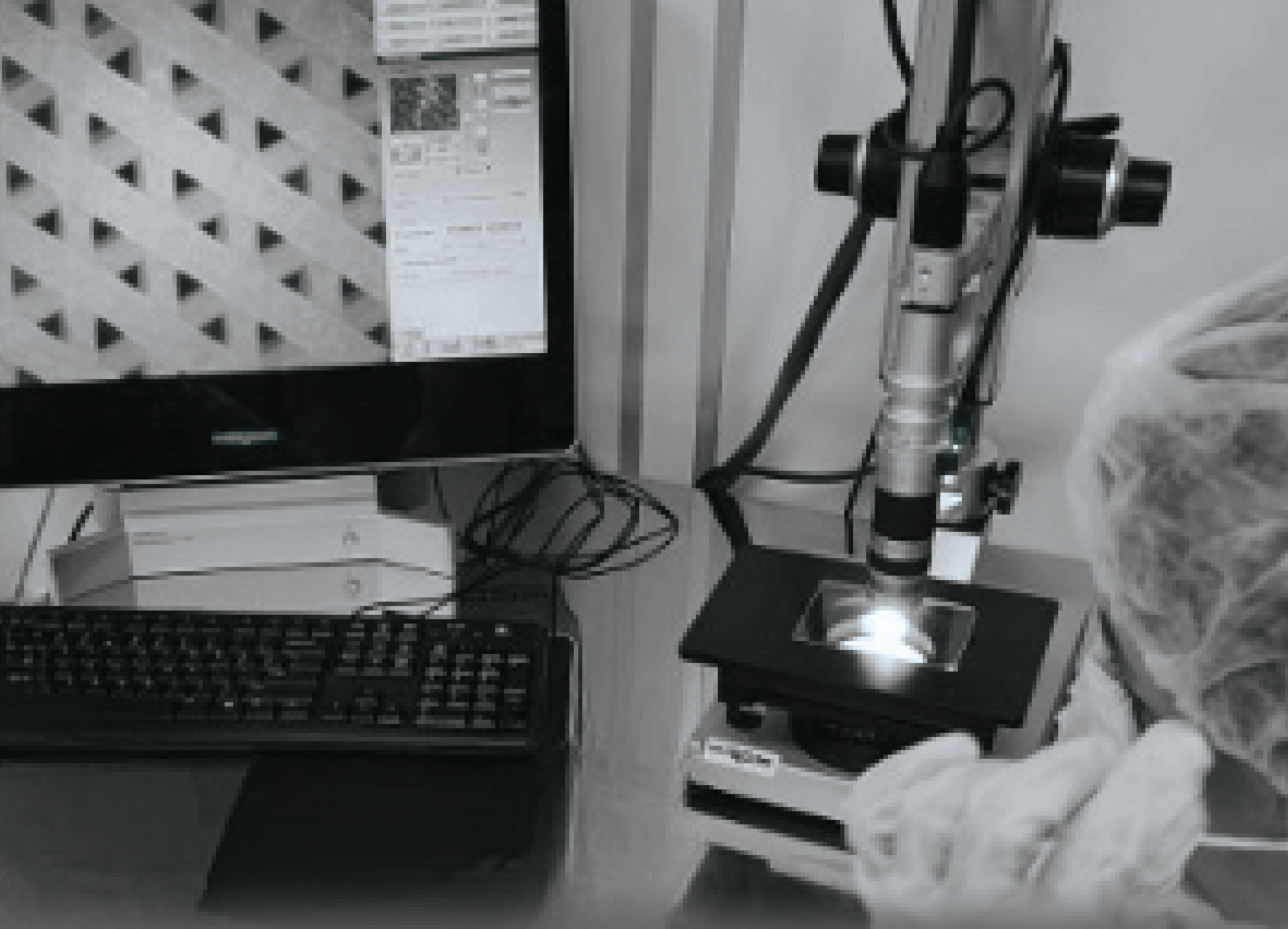 Bloocell® Üretim - BLOOCELL® | Bone & Cartilage Repair Matrix